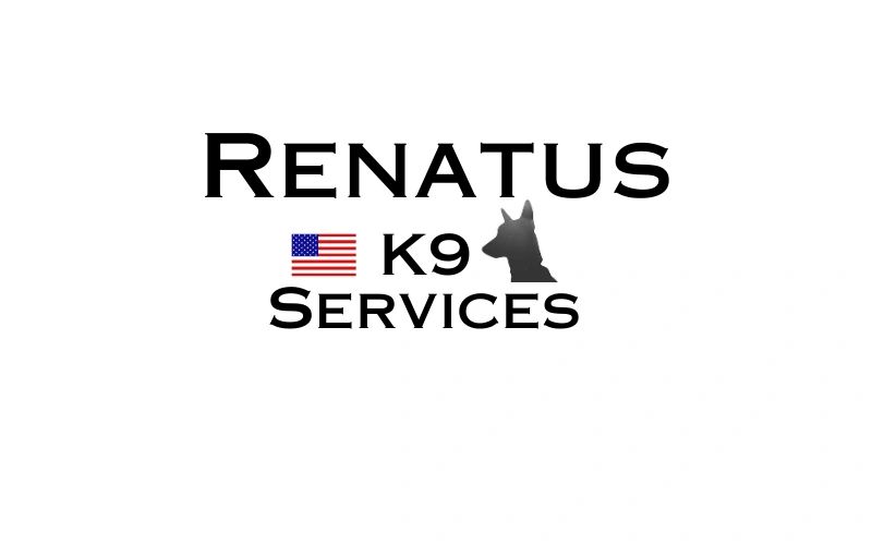 Expert Dog Training | Renatus K9 Services